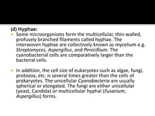Morphological diversity of microbes | PPT