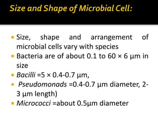 Morphological diversity of microbes | PPT
