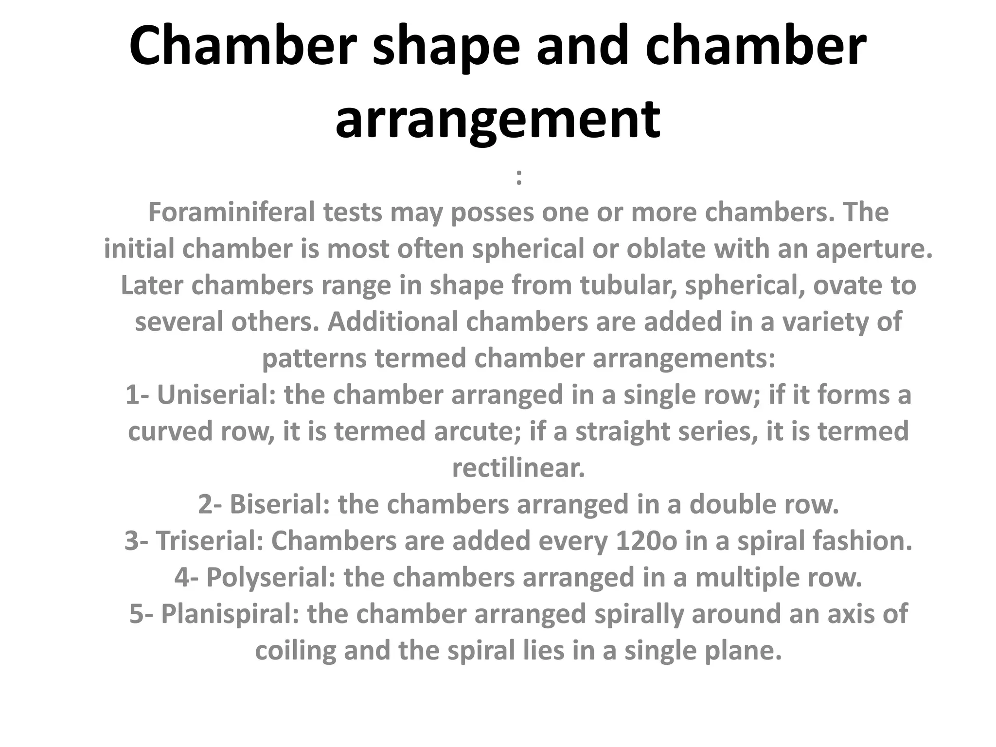 Morphological feature of foraminifera | PPTX