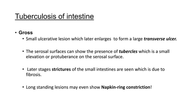 Morphological features of tuberculosis | PPTX | Digestive Disorders ...