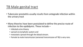 Morphological features of tuberculosis | PPTX
