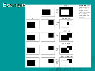 Morphological Image Processing binary.ppt