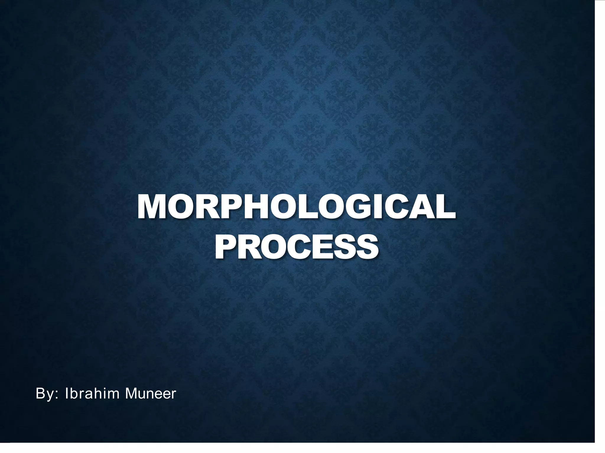 MORPHOLOGICAL PROCESS | PDF