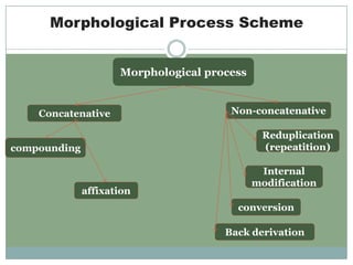 Morphological process | PPT