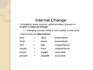 Introduction to Morphological Processes.pptx