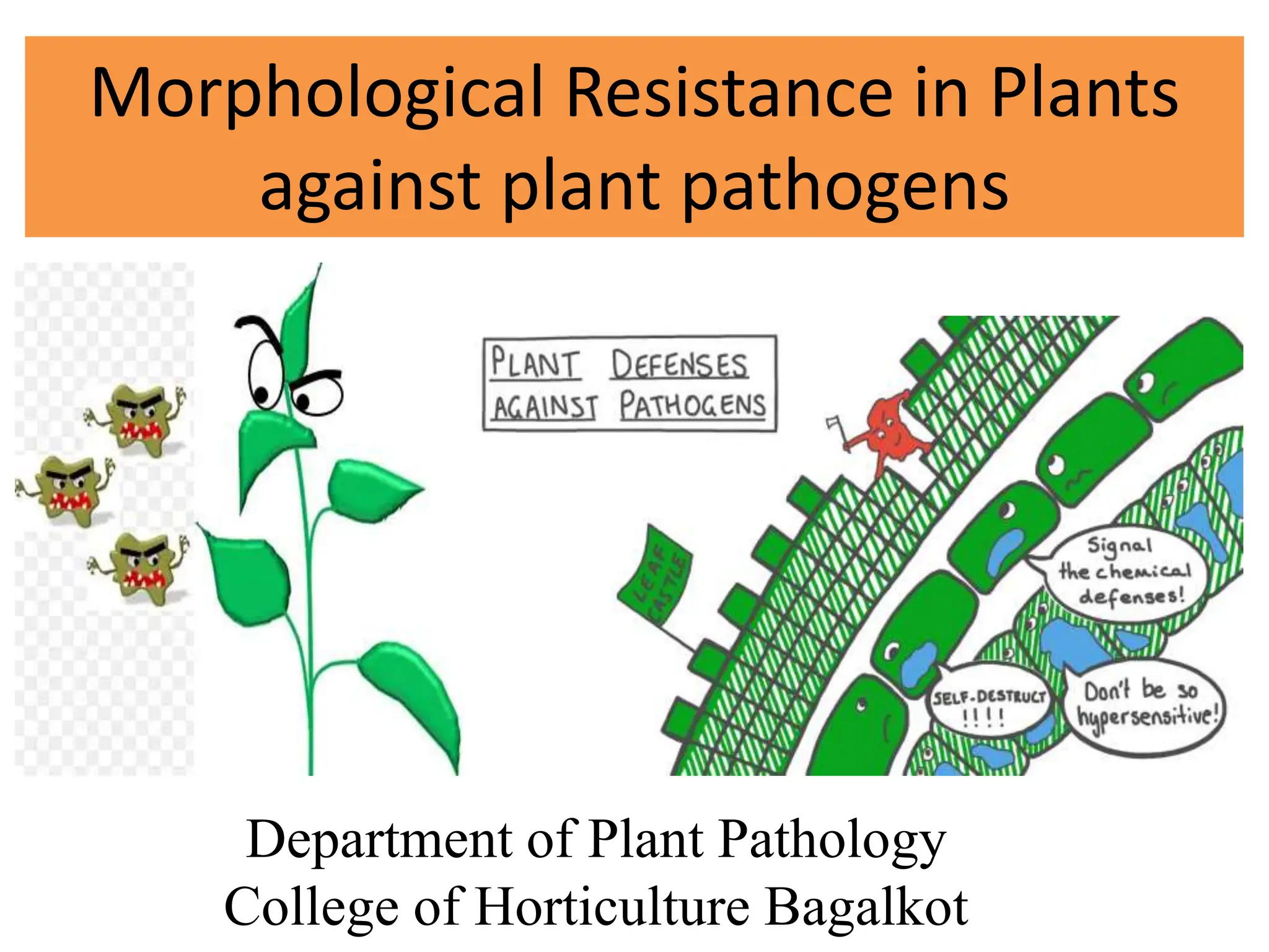 Morphological Resistance of Plants against plant pathogens.pptx