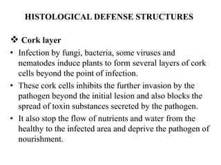 Morphological Resistance of Plants against plant pathogens.pptx