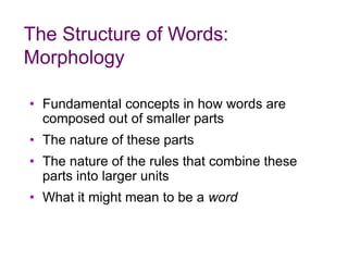 Morphological structure | PPT