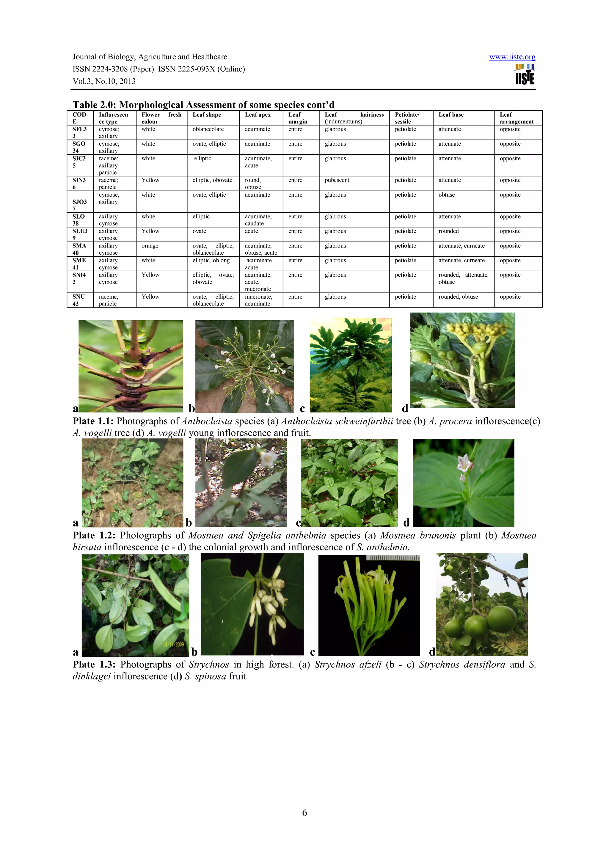 Morphological study of loganiaceae diversities in west africa | PDF