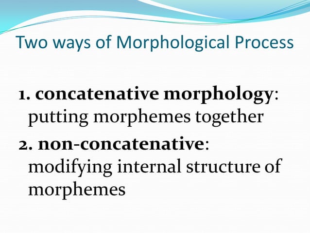Morphological typology | PPT