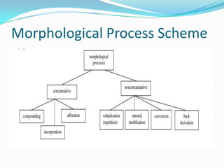 Morphological typology | PPTX