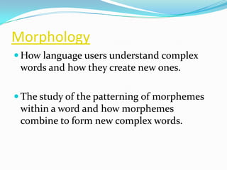 Morphological typology | PPT