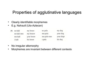 Morphological typology | PDF