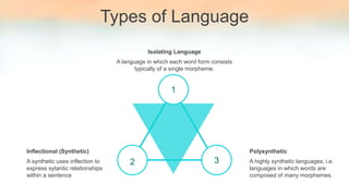Morphological Typology | PPTX