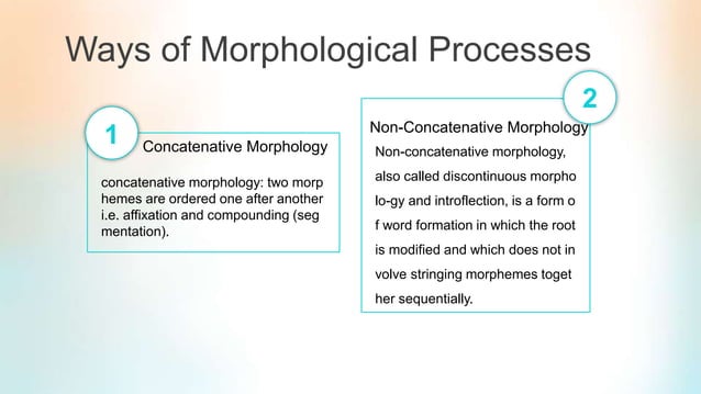 Morphological Typology | PPTX