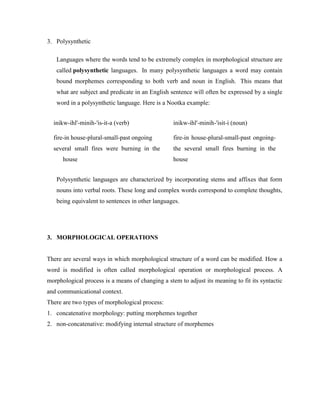 Morphological typology(group2) | PDF