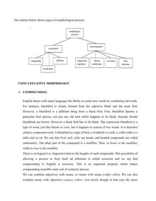 Morphological typology(group2) | PDF