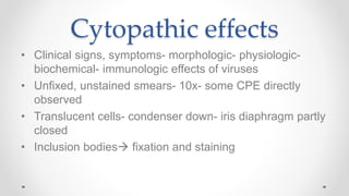 Morphologic changes in viral infections | PPTX