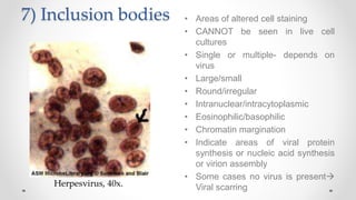 Morphologic changes in viral infections | PPTX