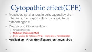 Morphologic changes in viral infections | PPTX