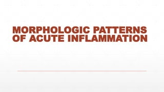 MORPHOLOGIC PATTERNS OF ACUTE INFLAMMATION.pptx