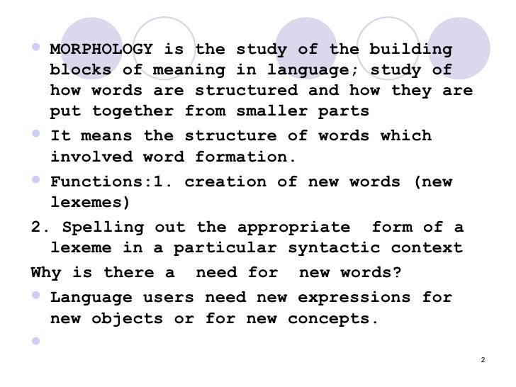 Morphology Synonym