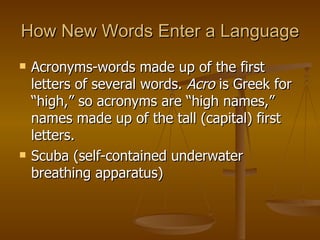 Morphology | PPT | Programming Languages | Computing