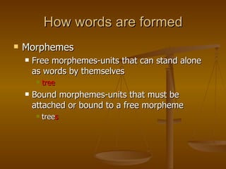 Morphology | PPT | Programming Languages | Computing