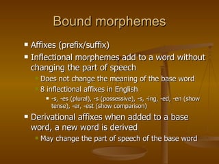 Morphology | PPT | Programming Languages | Computing