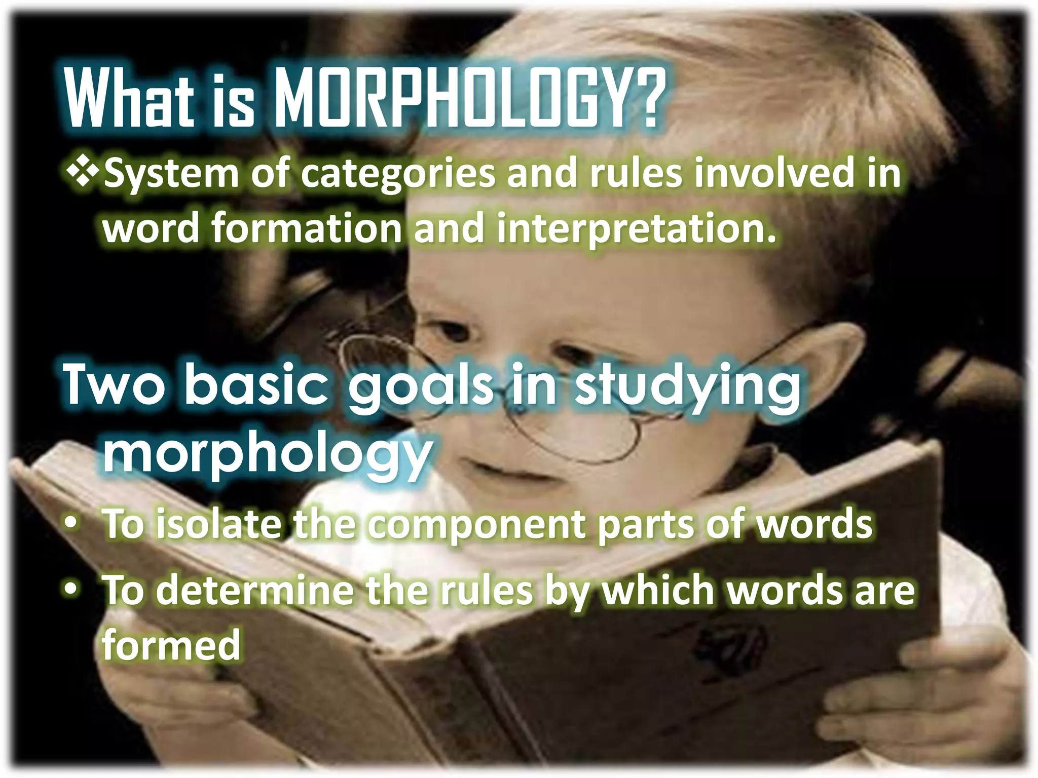 Morphology | PPTX