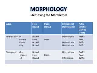 Morphology | PPTX