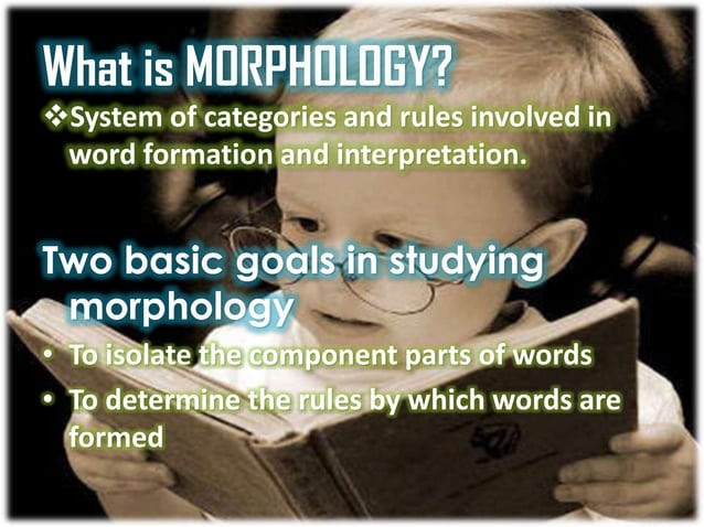 Morphology | PPTX