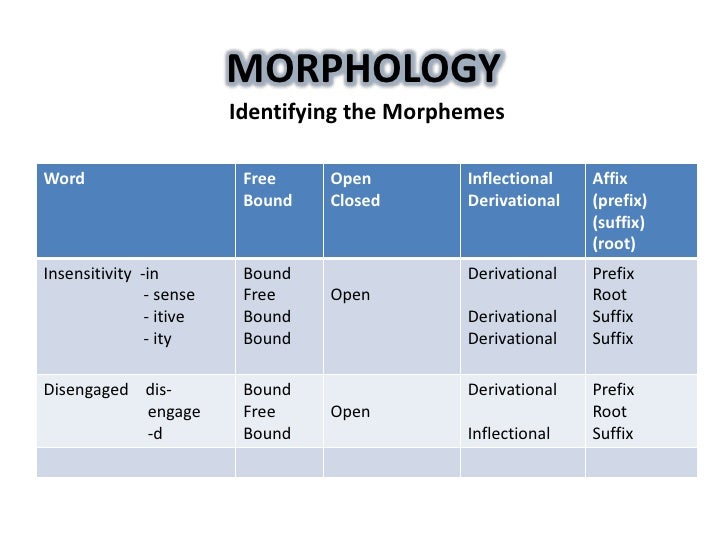 Morphology