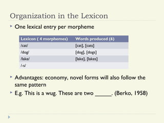 An Introduction to Morphology | PPT