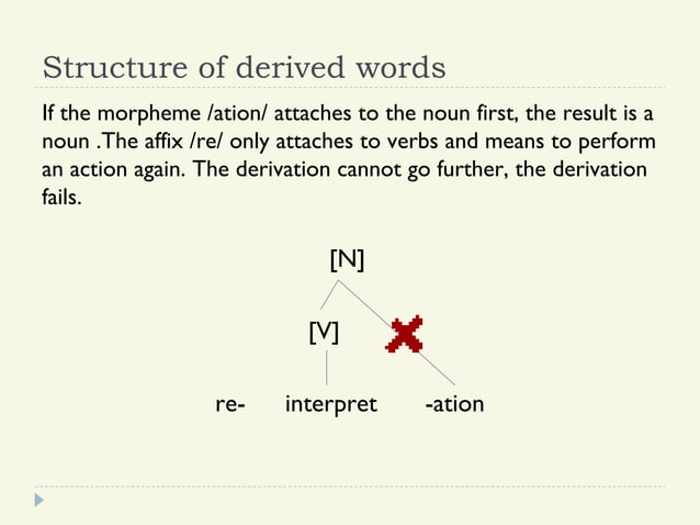 An Introduction to Morphology | PPT | Programming Languages | Computing