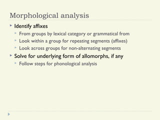 An Introduction to Morphology | PPT
