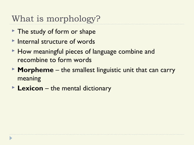 An Introduction to Morphology | PPT | Programming Languages | Computing