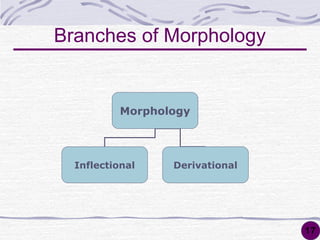 Morphology | PPT