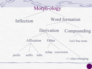 Morphology | PPT