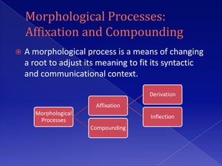 Morphology | PPT