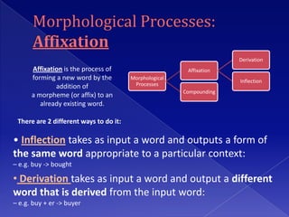 Morphology | PPT