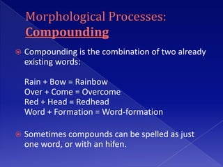 Morphology | PPTX