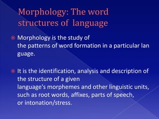 Morphology | PPT