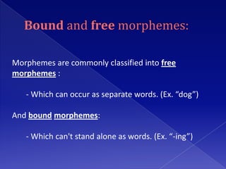 Morphology | PPTX