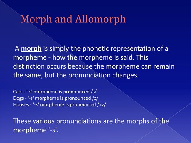 Morphology | PPT