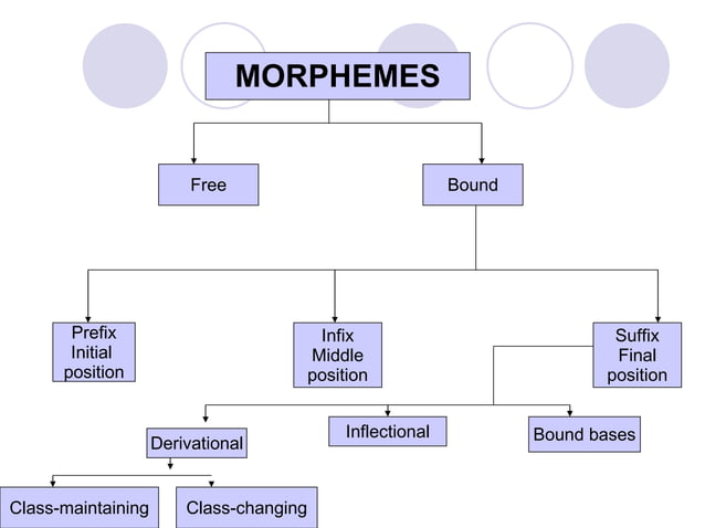 Morphology | PPT | Geology | Science