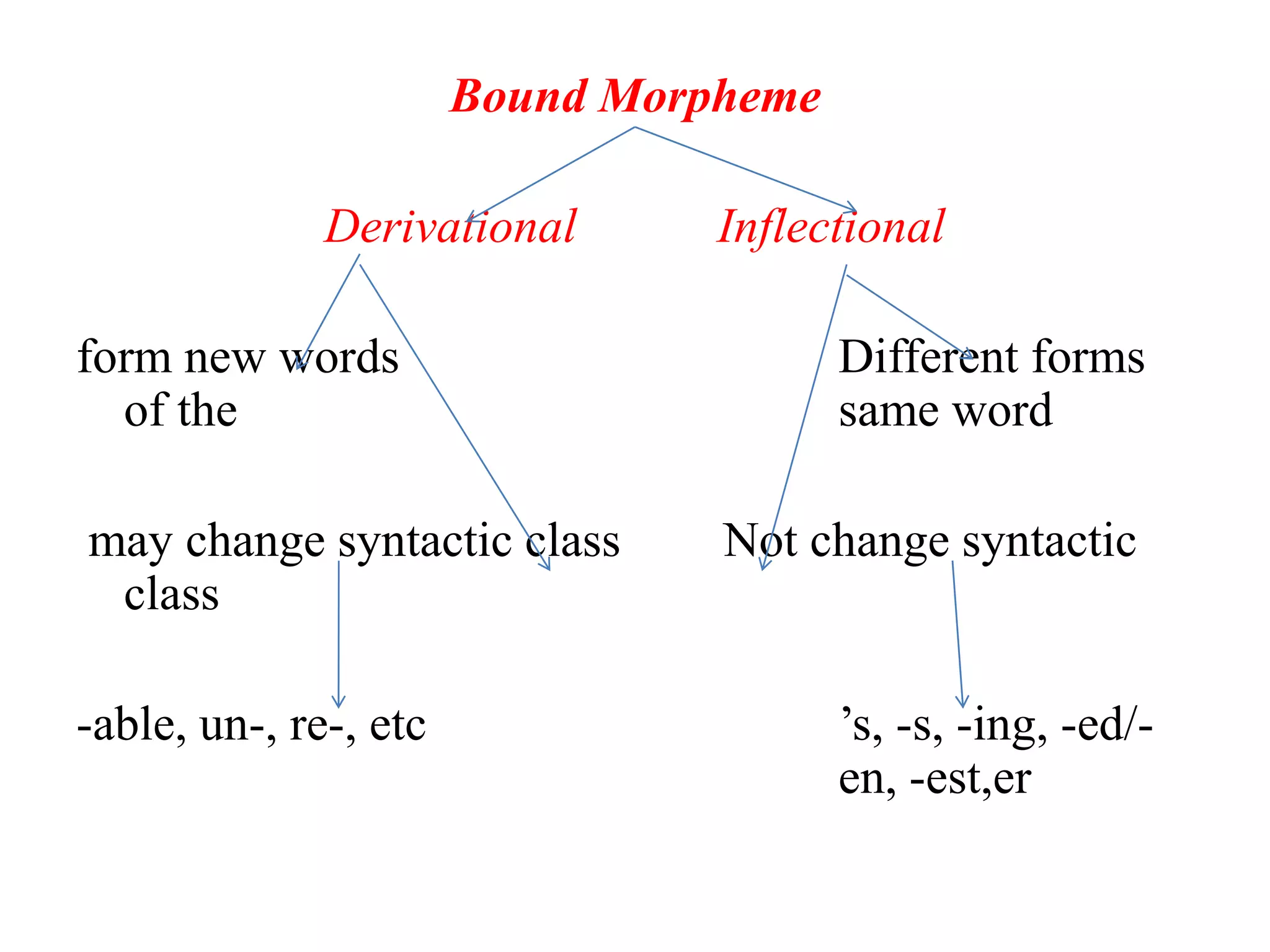 A Brief Introduction of Morphology | PPTX