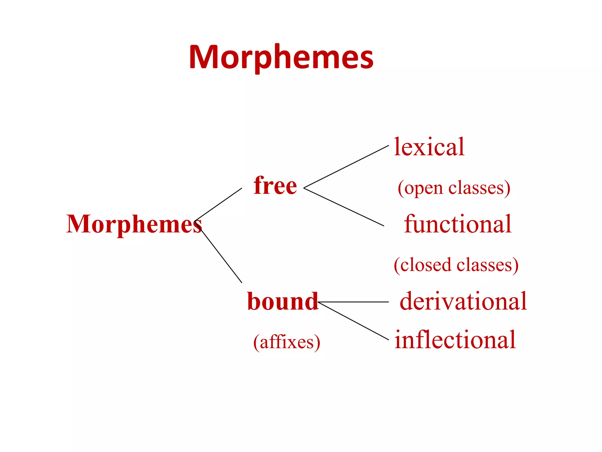 A Brief Introduction of Morphology | PPTX
