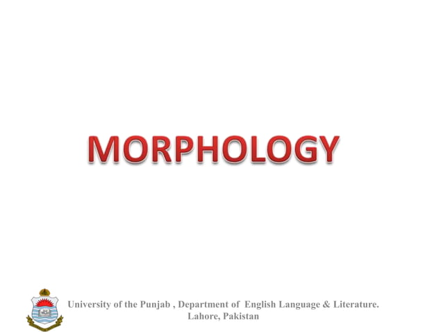 A Brief Introduction of Morphology | PPTX