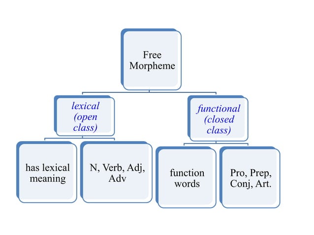 A Brief Introduction of Morphology | PPTX